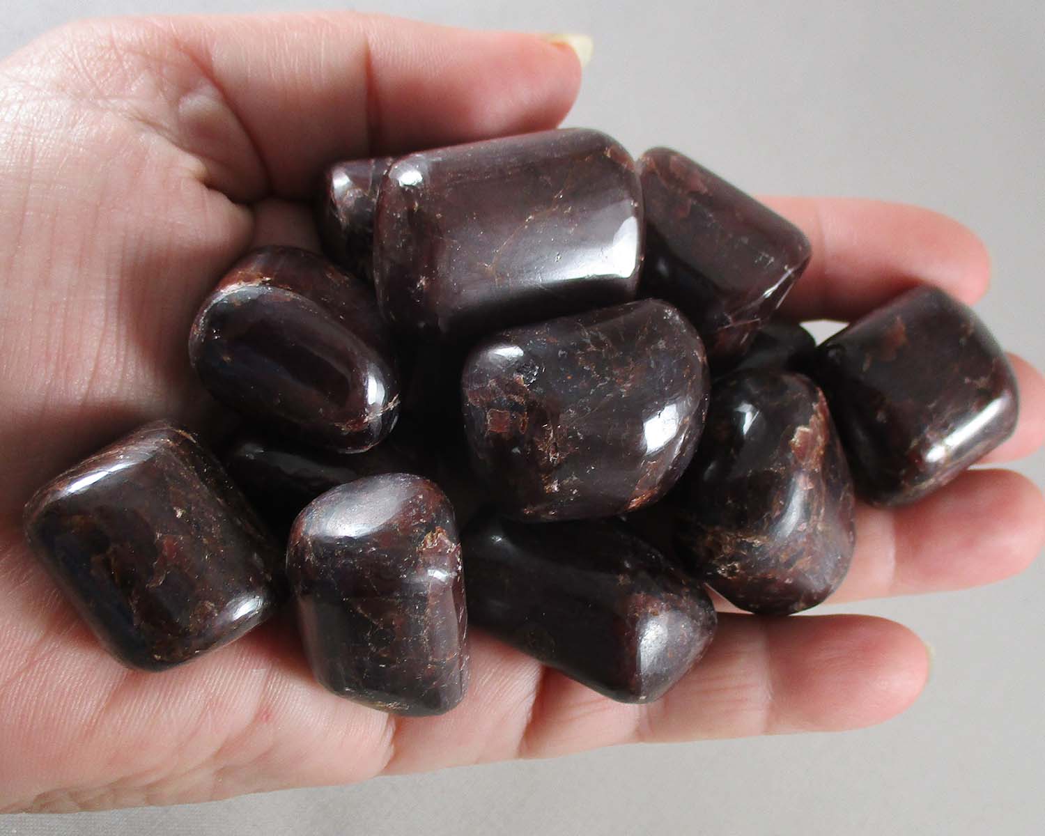 Garnet Polished Stone (Premium) 1pc J084