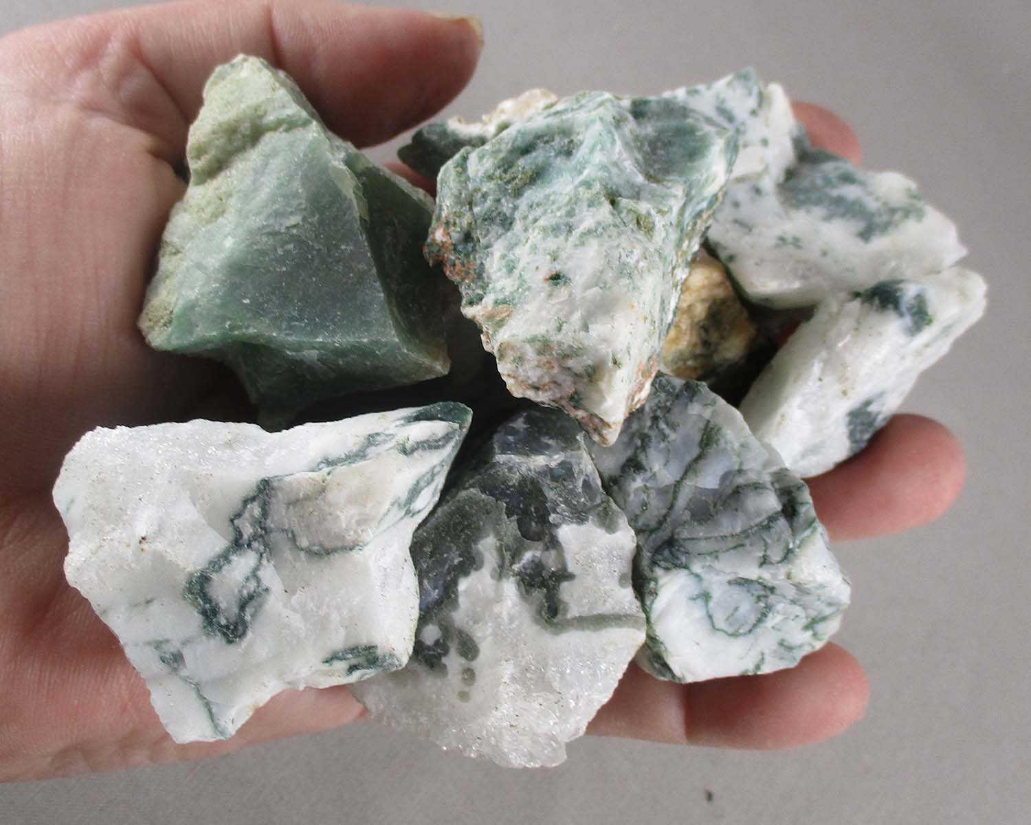 Tree Agate Raw Stones 3pcs H105**